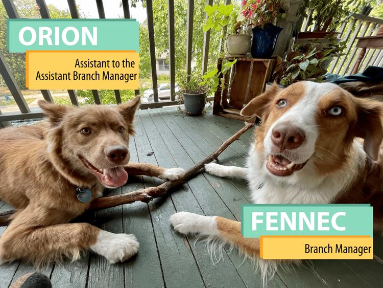 About Us | Host Agency Reviews